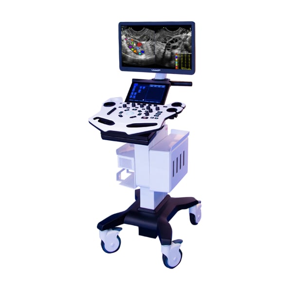 Home [vinnomexico.mx]